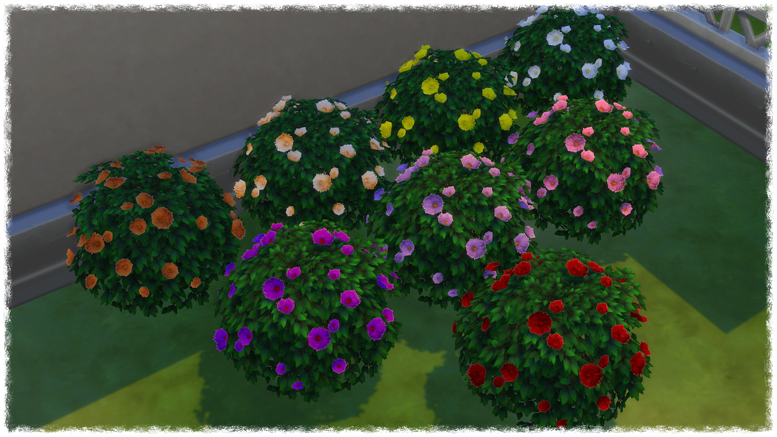 Mumumental Fall Mums Shrub 2020 by Wykkyd from Mod The Sims • Sims 4 ...