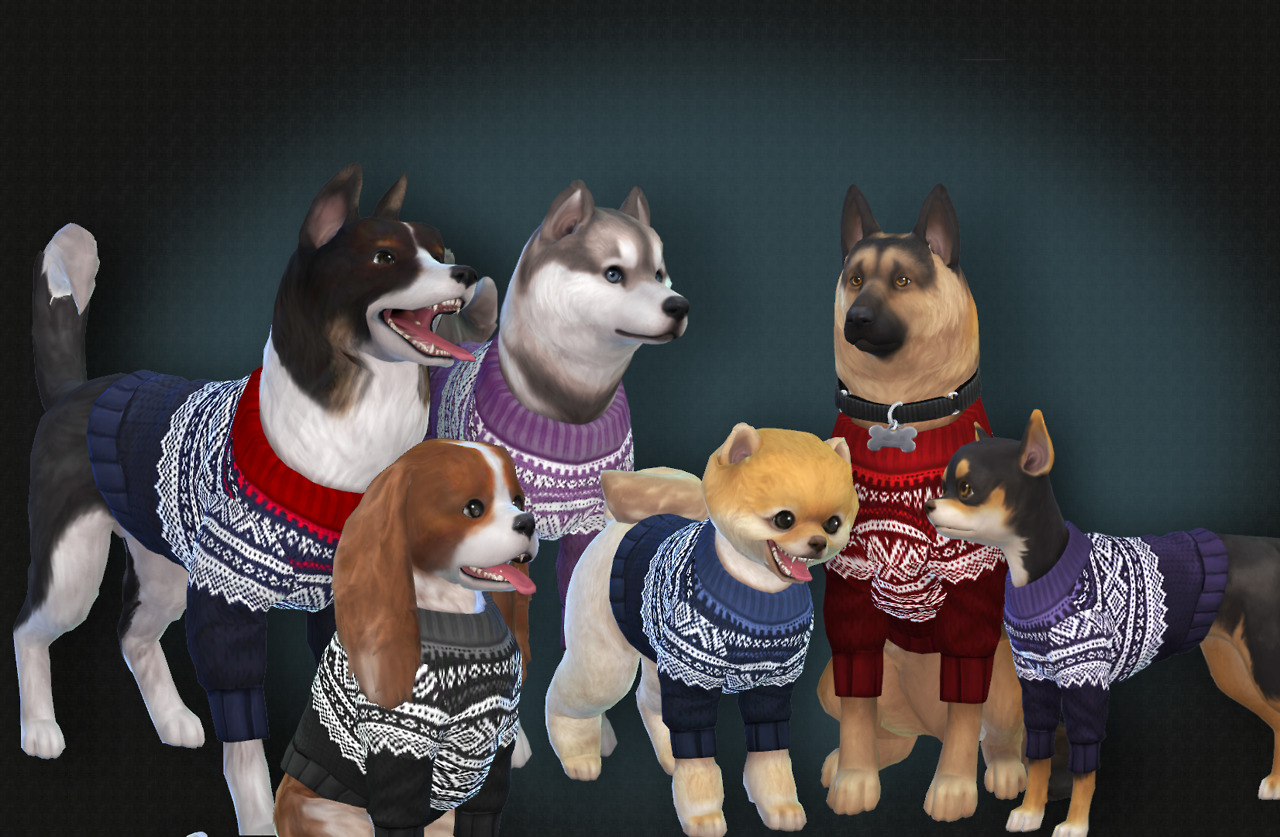 Marius sweater for dogs from Alial Sim • Sims 4 Downloads
